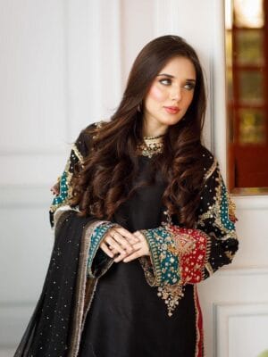 Ladies Punjabi Suit Black New Punjabi Suit Georgette Online Fashion Doctorz